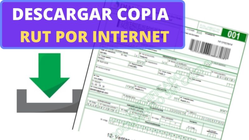 Descargar el RUT en línea: Obtén tu documento oficial al instante - The ...