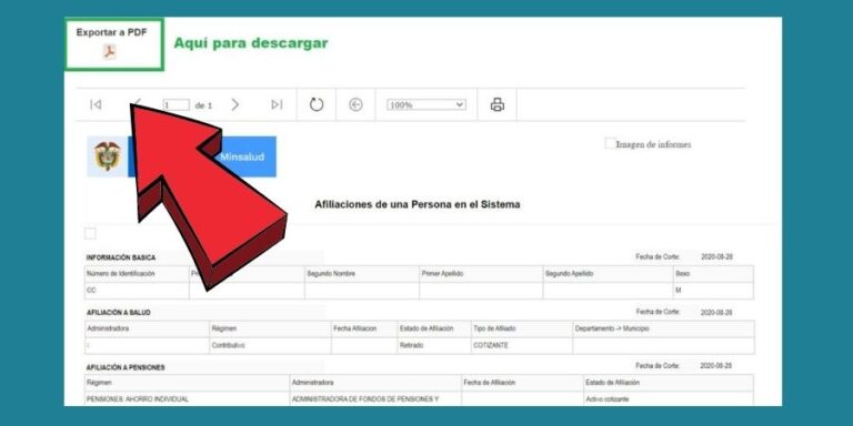 RUAF - Consultas, Certificados y Afiliaciones: Todo lo que necesitas ...