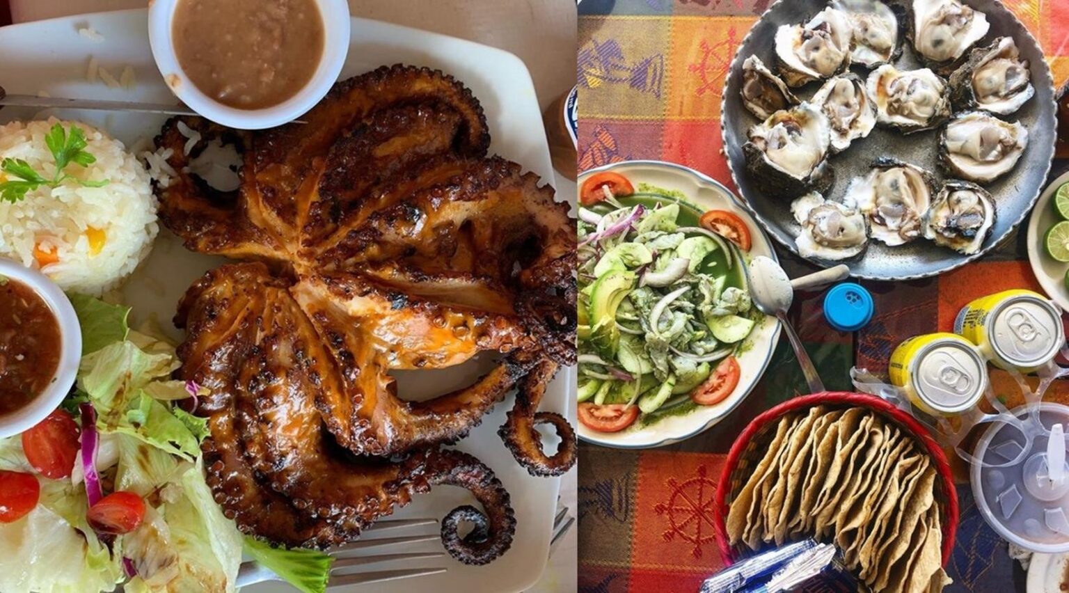 Ostiones: Descubre sus tipos, propiedades y deliciosas recetas - The ...